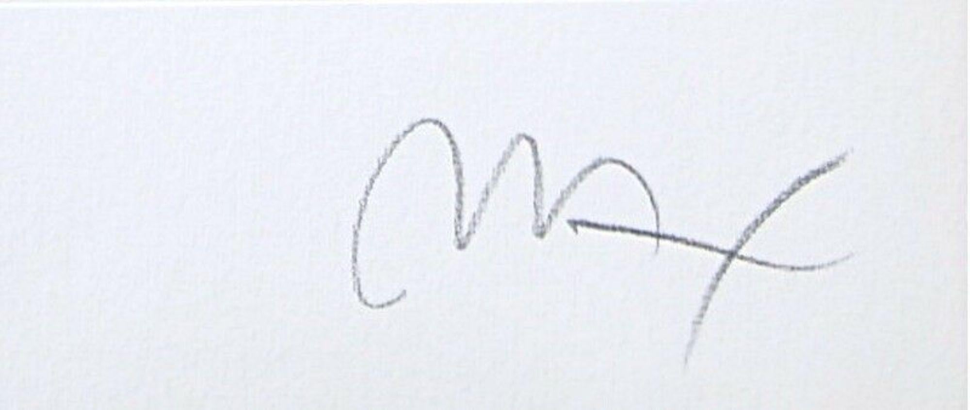 Peter Max - Tree with Sailboat, Peter Max - SIGNED For Sale at 1stDibs ...