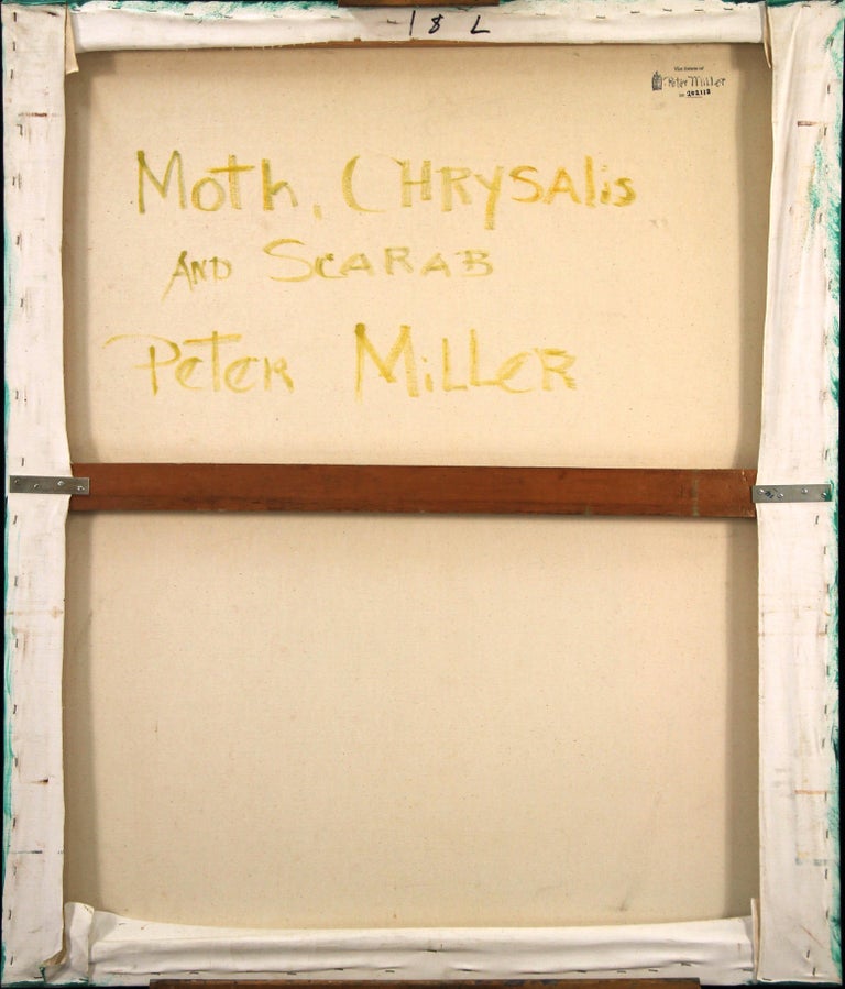 Peter Miller - Moth, Chrysalis, and Scarab, Southwestern Art by Female ...