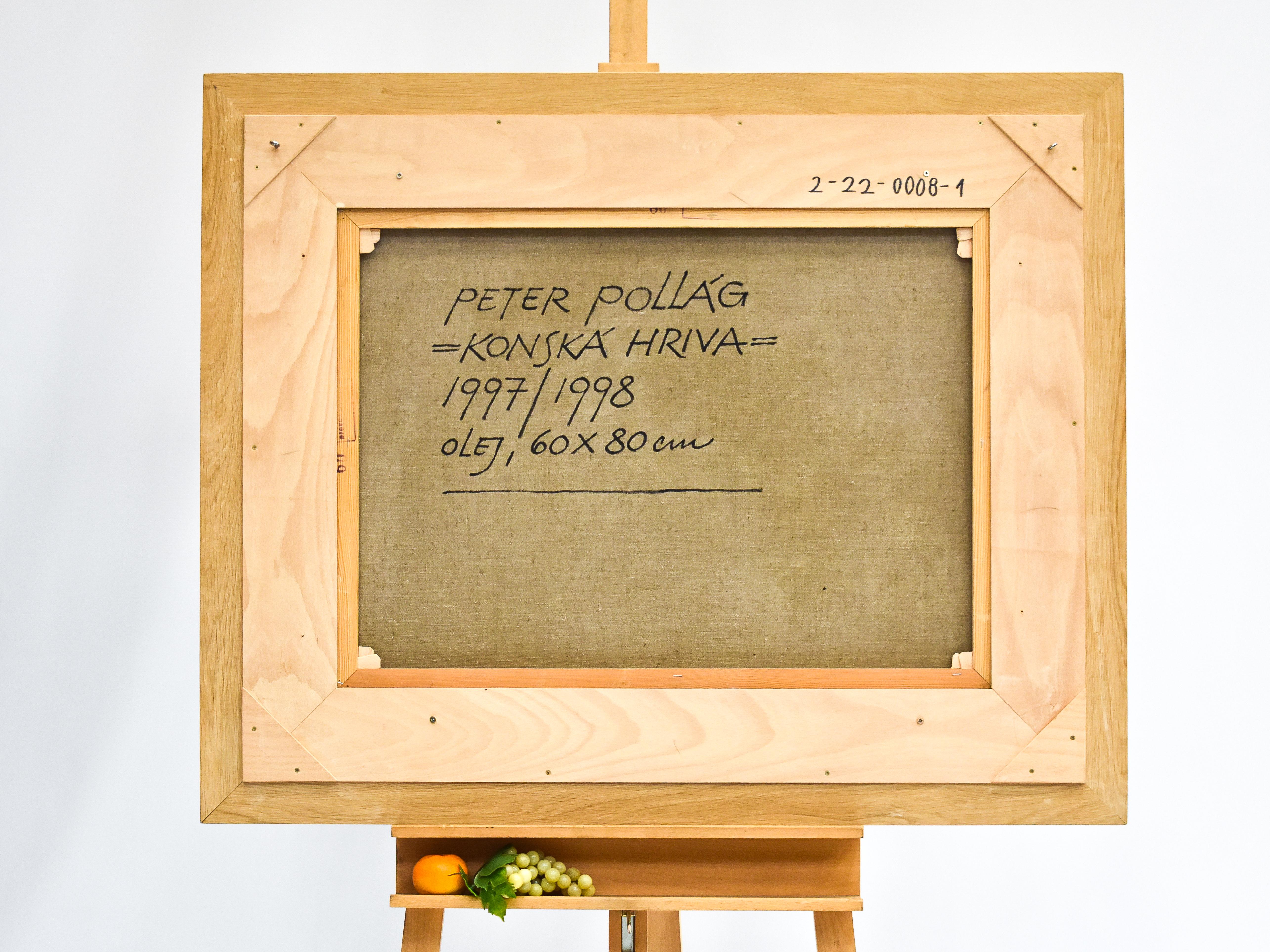 Peter Pollág - Konská Hriva - Peter Pollág - Original artwork For Sale ...