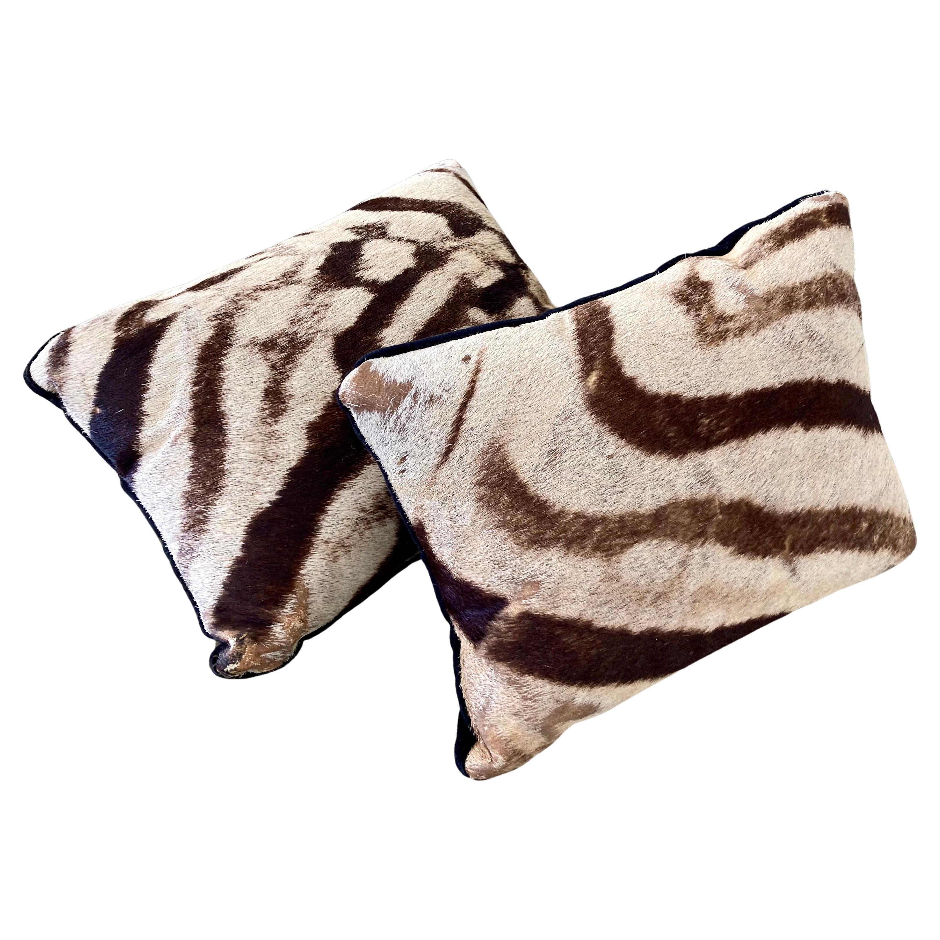 Petit Zebra Pillows, a Pair For Sale at 1stDibs