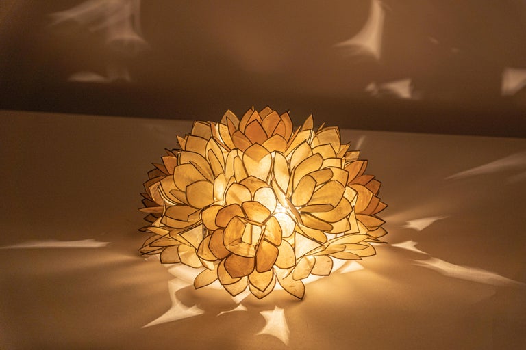Petite Capiz Shell Lotus Ball Ceiling or Wall Light, Germany, 1960s at ...