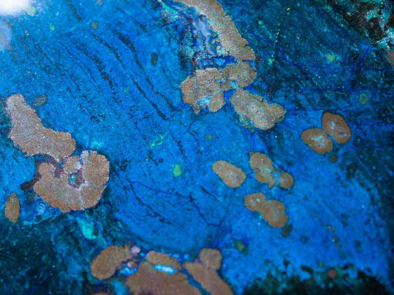 Petrified Fossil Colla Wood - Azurite and Malachite For Sale at 1stDibs
