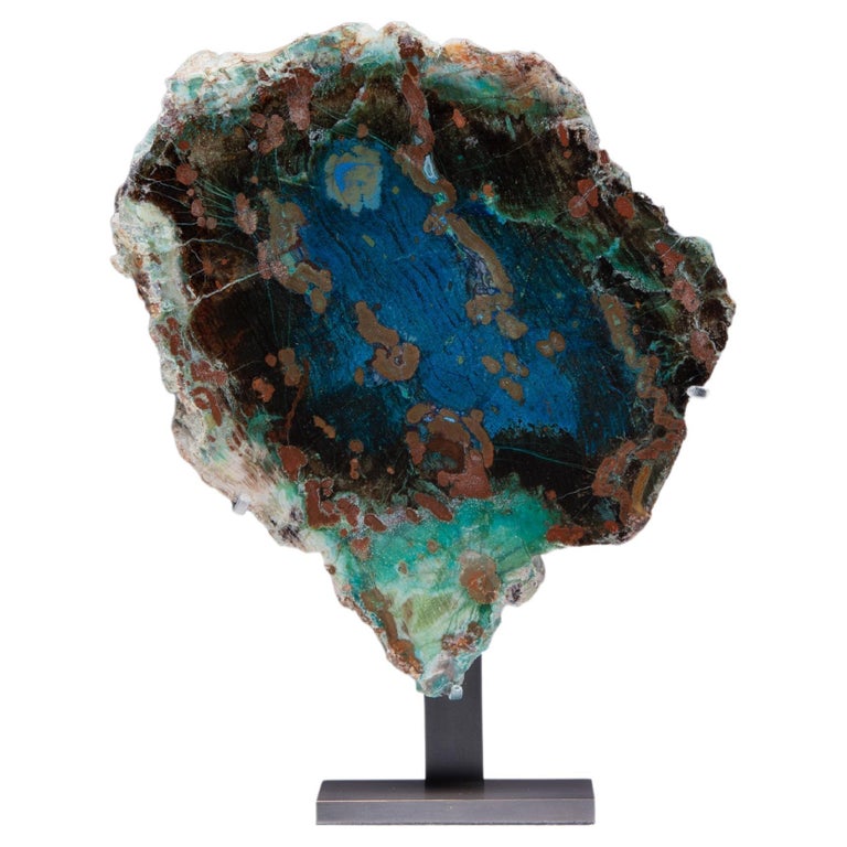 Petrified Fossil Colla Wood - Azurite and Malachite For Sale at 1stDibs