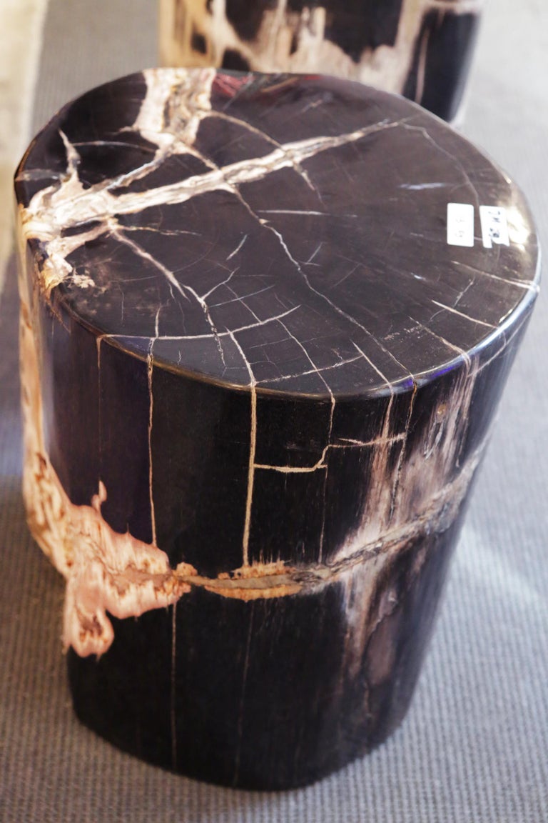 Petrified Wood n°D Side Table at 1stDibs