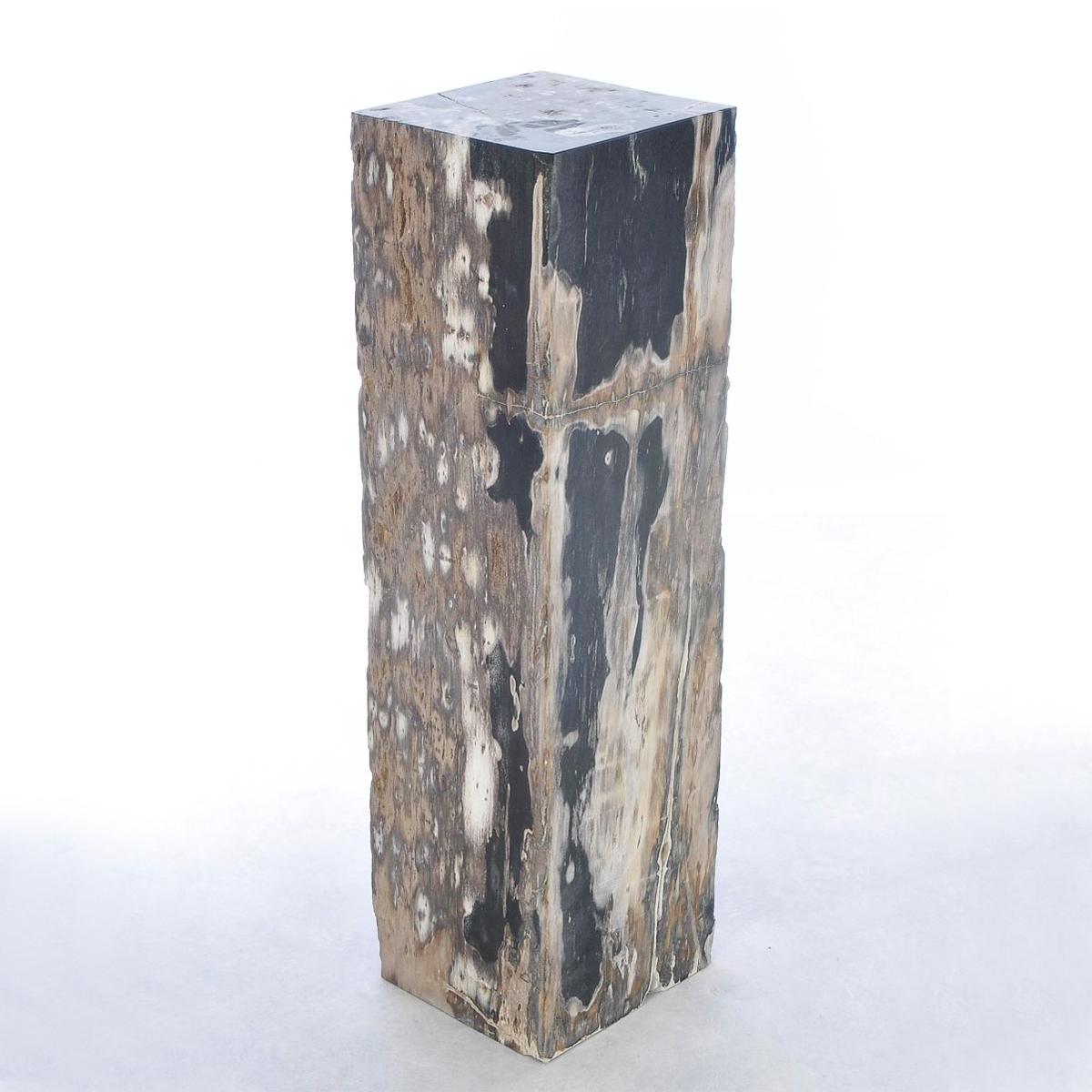 Petrified Wood Raw B Pedestal at 1stDibs | petrified wood pedestal