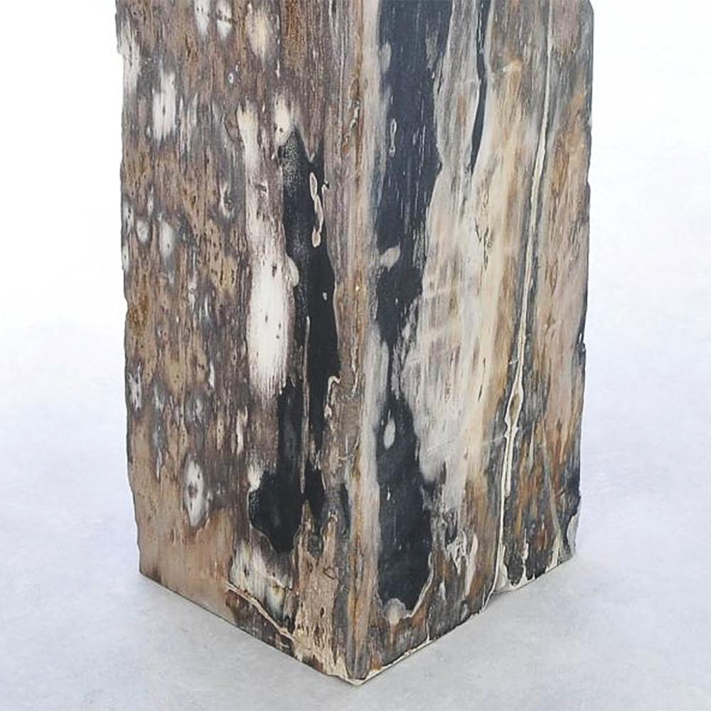 Petrified Wood Raw B Pedestal at 1stDibs | petrified wood pedestal
