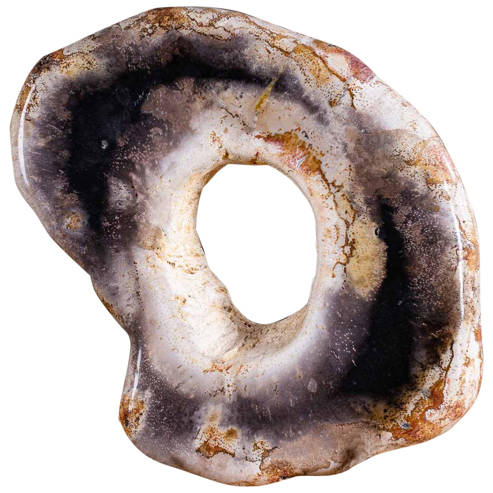 Petrified Wood Ring Sculpture on Custom Stand at 1stDibs