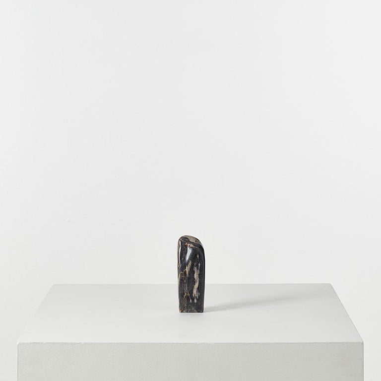 Petrified Wood Sculpture 'Sculpture II' Europe, 2000s at 1stDibs