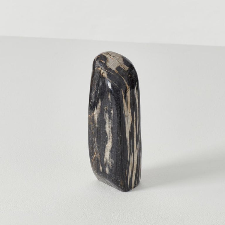 Petrified Wood Sculpture 'Sculpture II' Europe, 2000s at 1stDibs