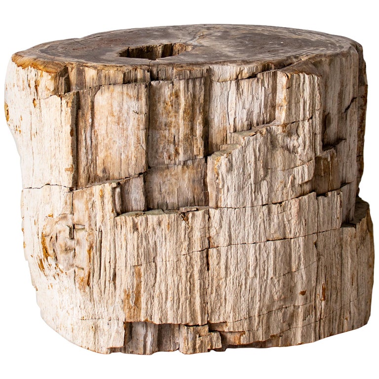 Petrified Wood Side Table Evidencing Elements of Original Bark at 1stDibs