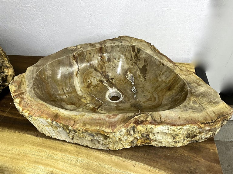 Petrified Wood Sink in Beige/ Yellow/ Brown Tones Polished, Top Quality ...