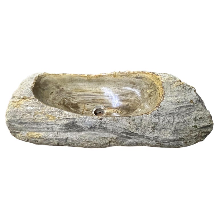 Petrified Wood Sink Organic Modern in Grey/ Beige/ Brown Tones, Top ...