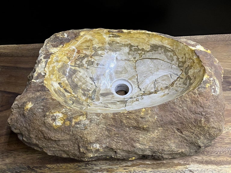 Petrified Wood Sink with Brown/ Beige/ Yellow Tones Polished, Top ...