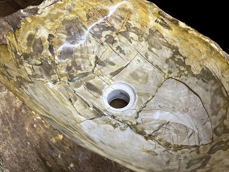 Petrified Wood Sink with Brown/ Beige/ Yellow Tones Polished, Top ...