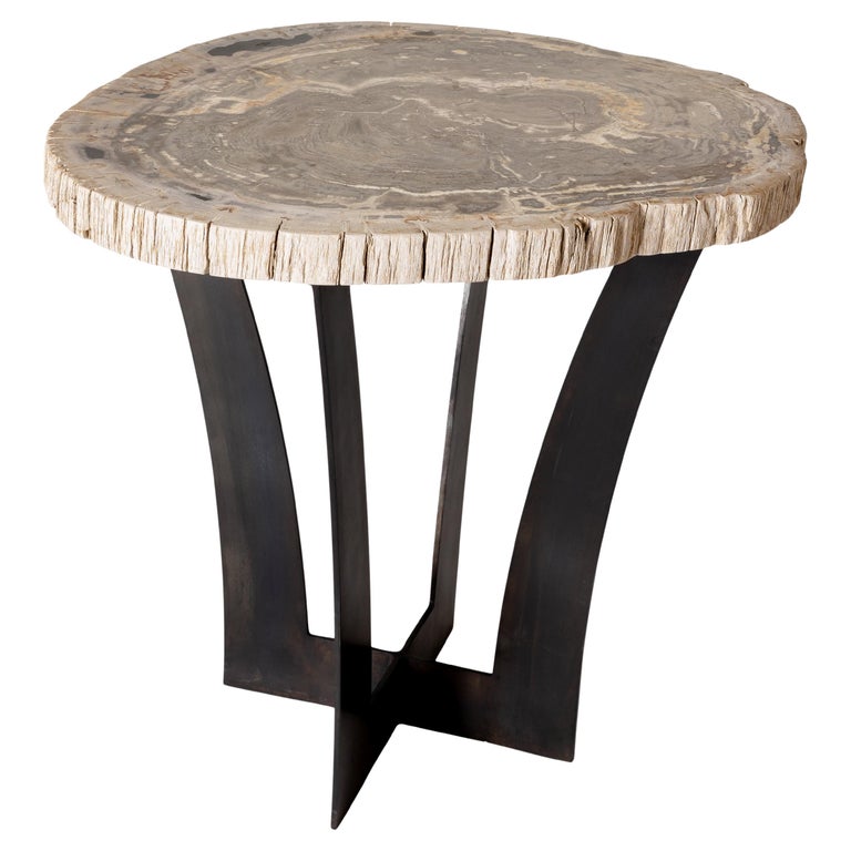 Petrified Wood Slab End Table on Metal Base For Sale at 1stDibs