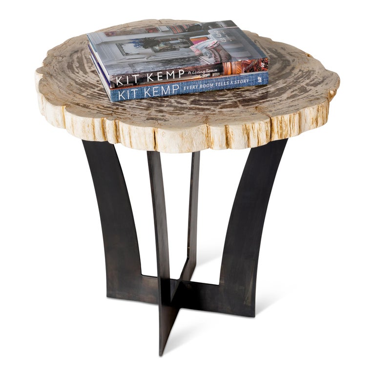Petrified Wood Slab End Table with Metal Base at 1stDibs