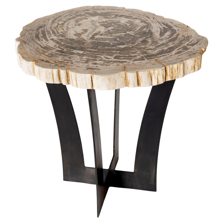 Petrified Wood Slab End Table with Metal Base at 1stDibs