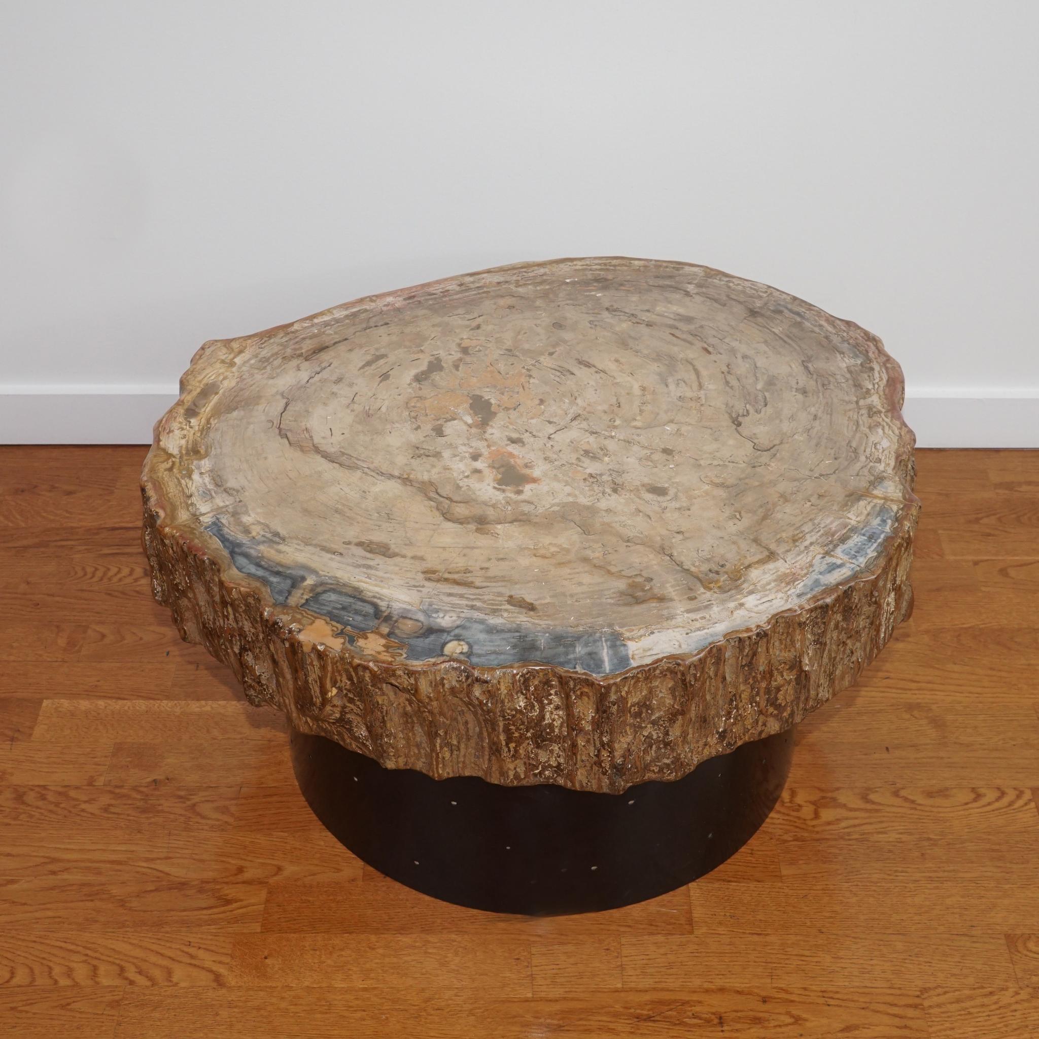 Petrified Wood Top Cocktail Table at 1stDibs