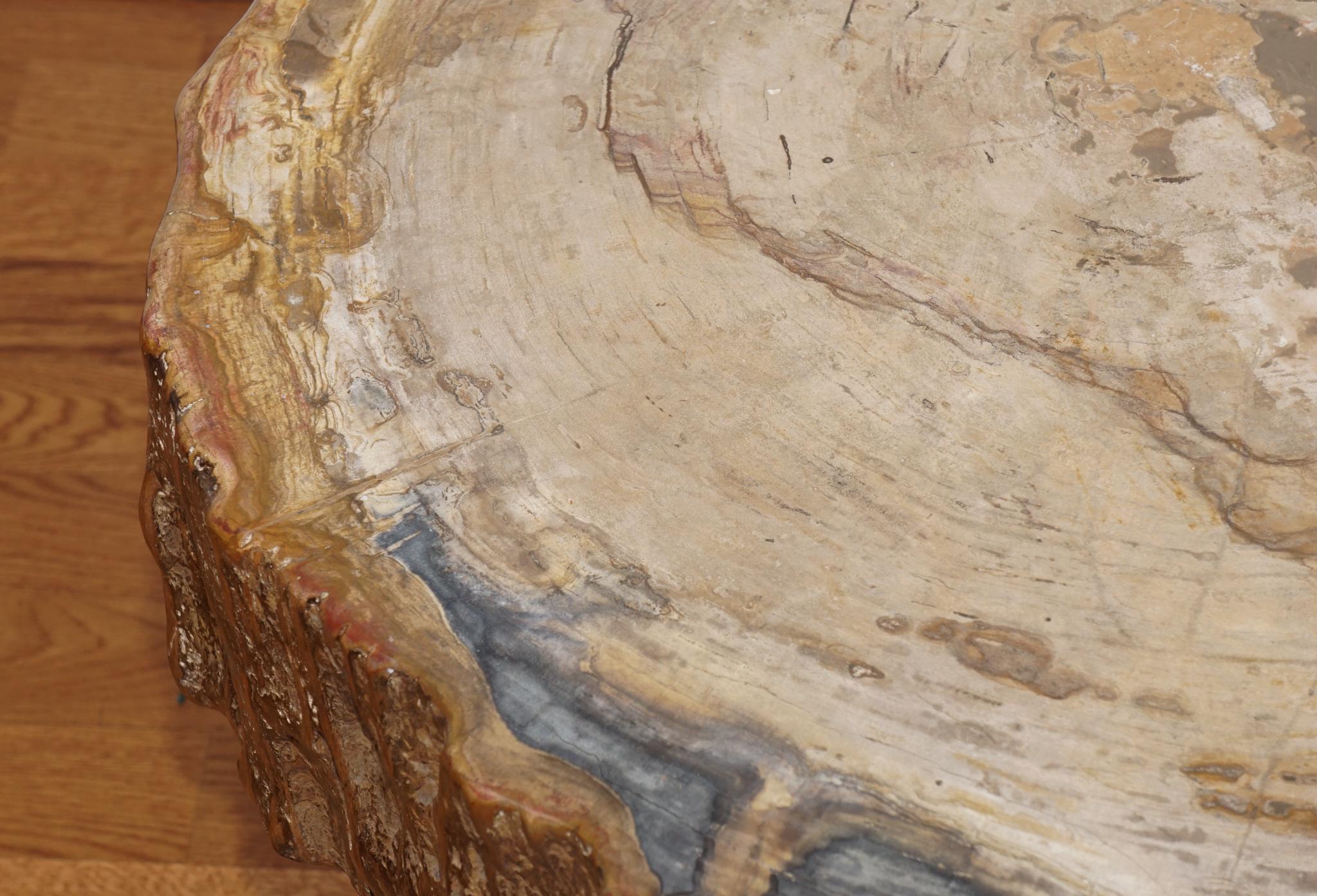 Petrified Wood Top Cocktail Table at 1stDibs
