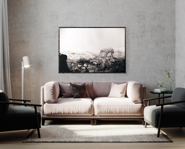 Philip Holsinger - Ice-Covered Guardian Dog on Glacier (1/10) For Sale ...