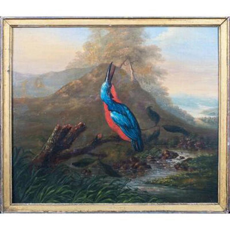 Philip Reinagle - Portrait of a Kingfisher, 18th Century Attributed to ...