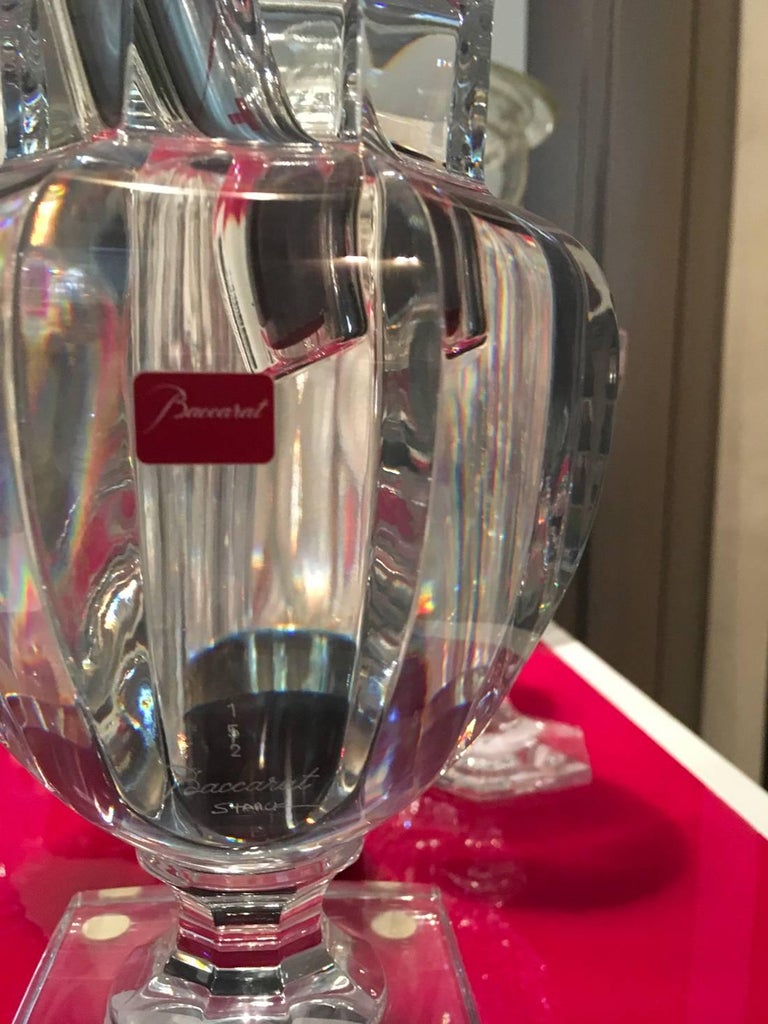 Philippe Starck Design Harcourt Baccarat Crystal Flower Vase Numbered ...