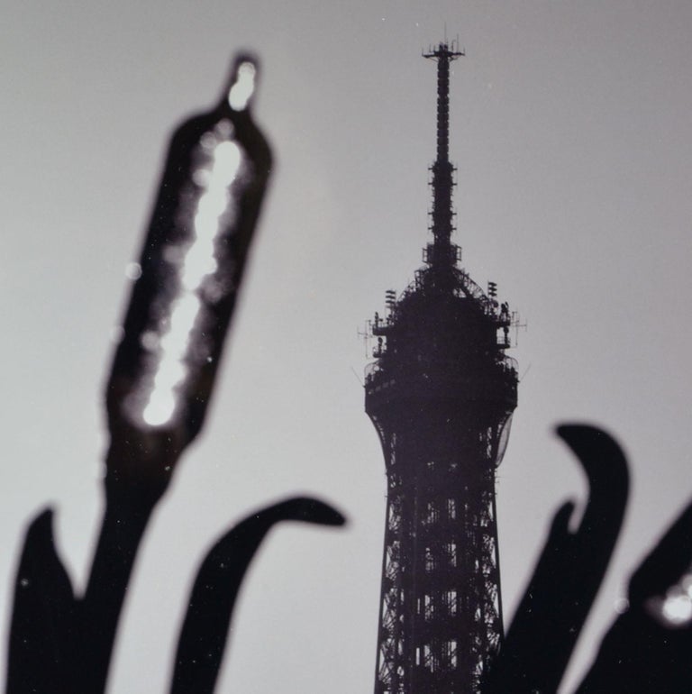 Photographs of Paris Eiffel Tower by Antonio Brigandí For Sale at 1stDibs