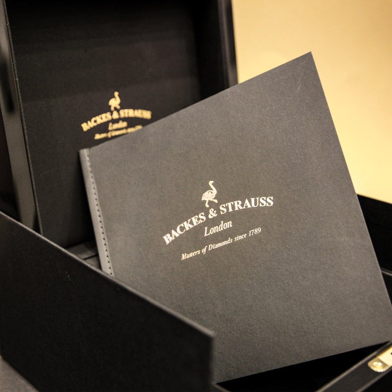 Piccadilly Renaissance 40 Luxury Diamond Watch Men and Women, White ...