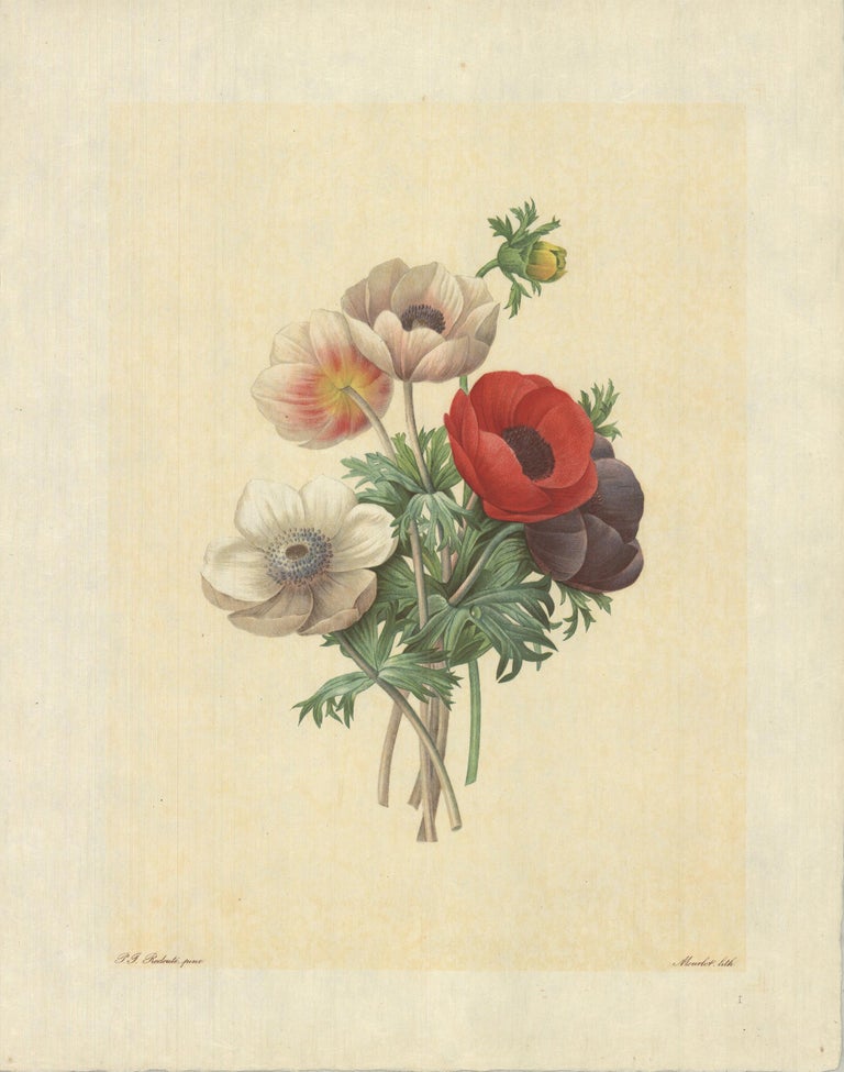 1939 Pierre-Joseph Redoute 'Anemone Simplex' France Lithograph For Sale ...