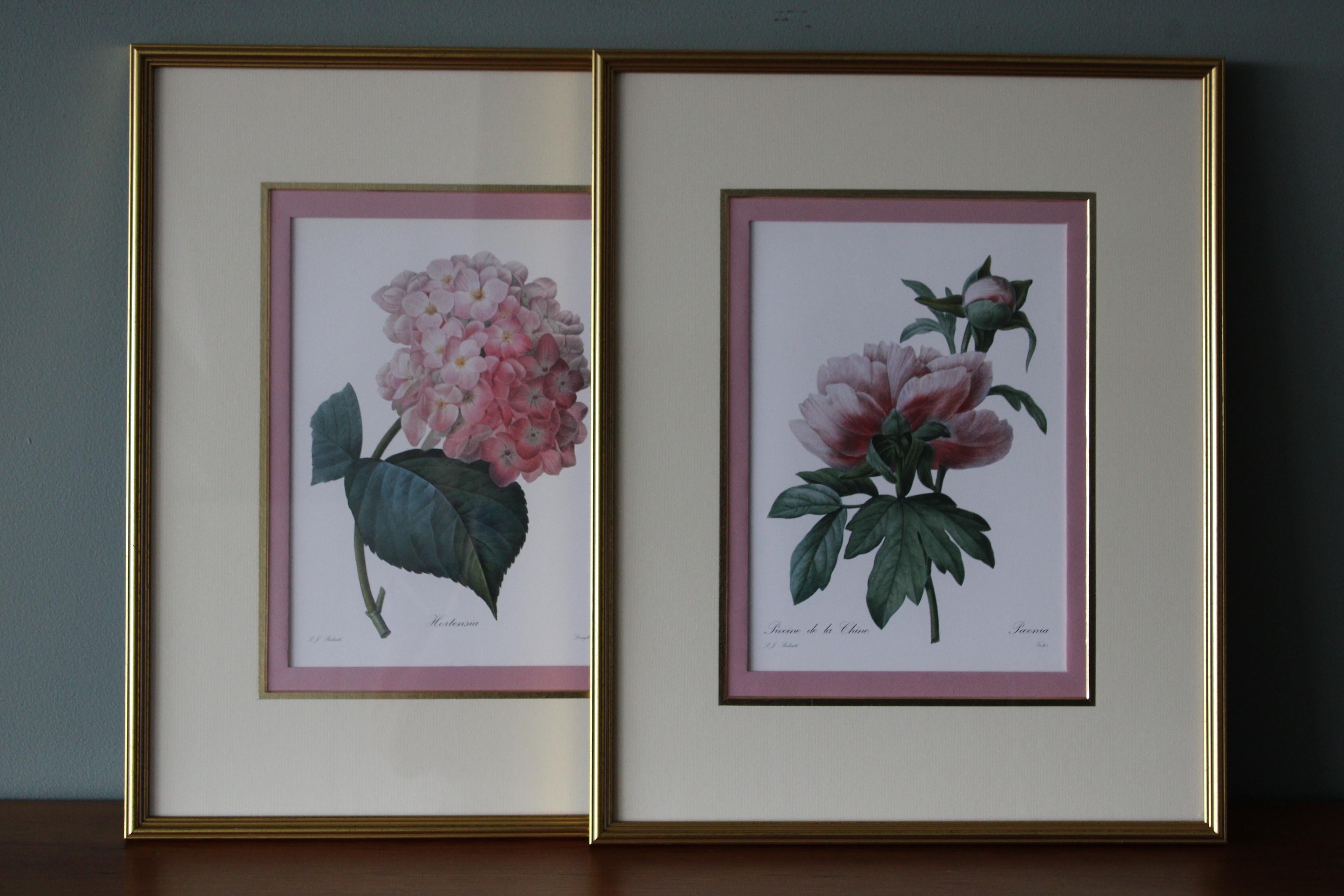 Pierre-Joseph Redouté - Set of 2 vintage Redoute floral lithographs in ...