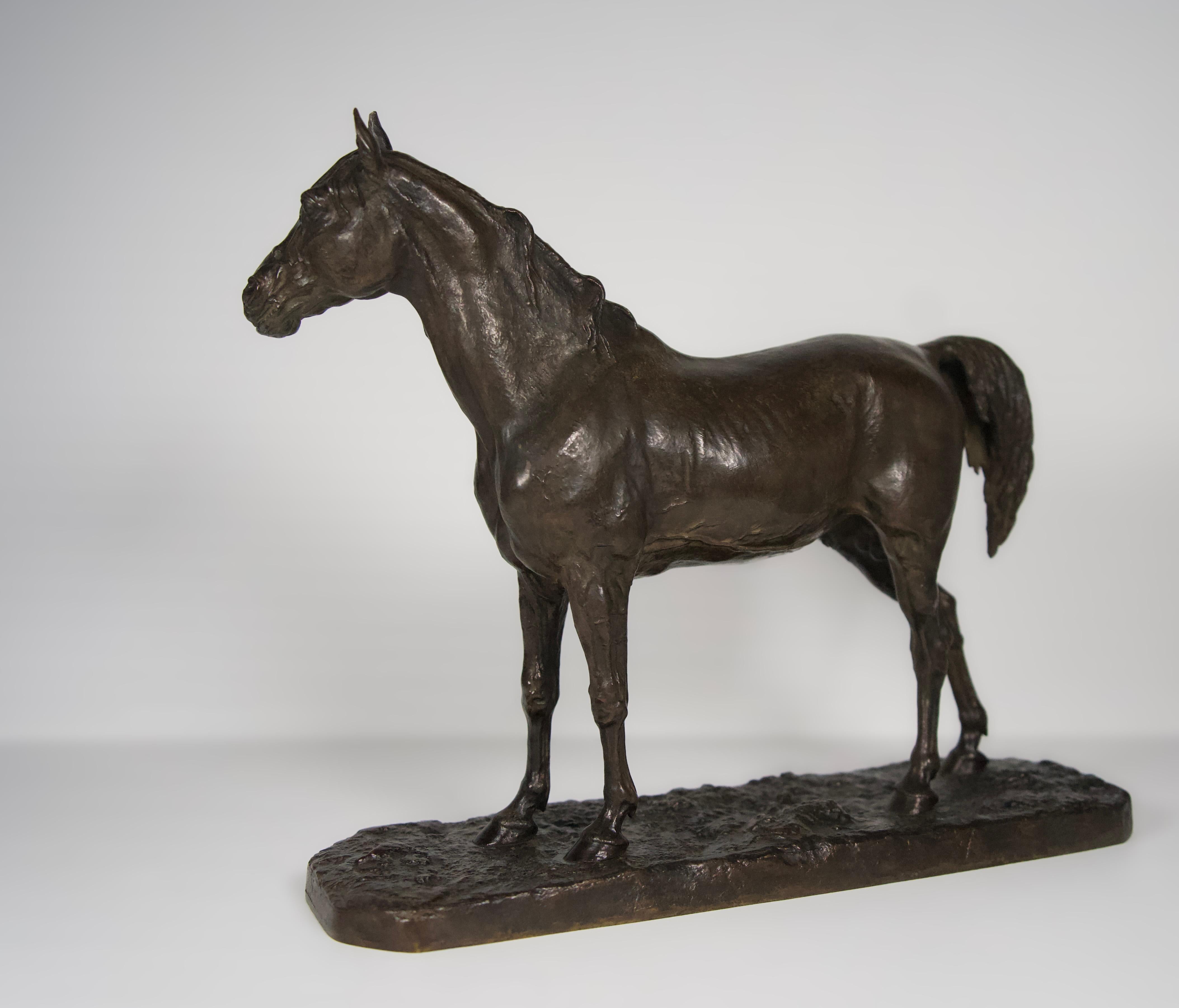 Pierre Jules Mêne - Arabian horse (Ibrahim) N°1 - Bronze sculpture by ...