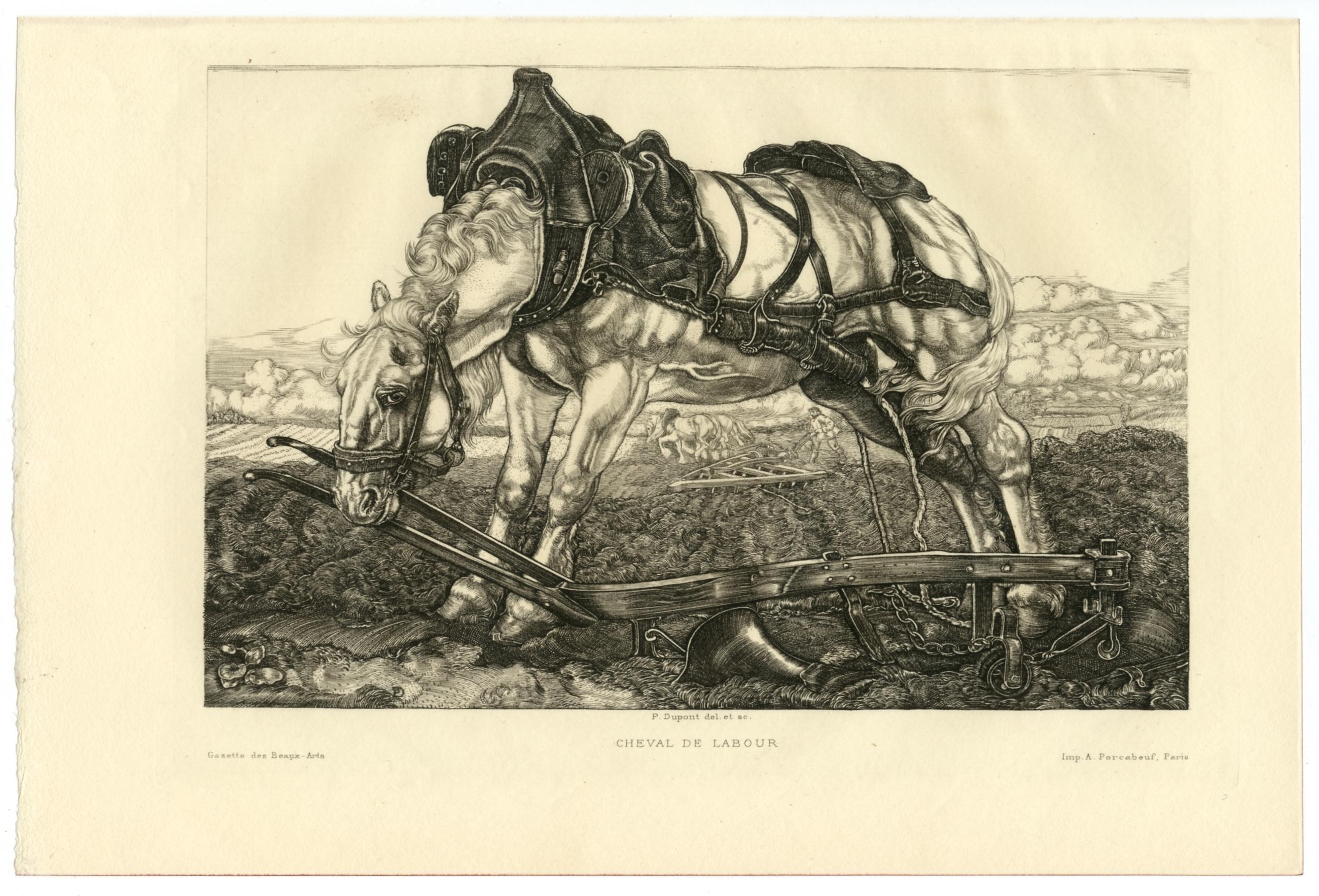Pieter Dupont - "Cheval de labour" original etching For Sale at 1stDibs ...