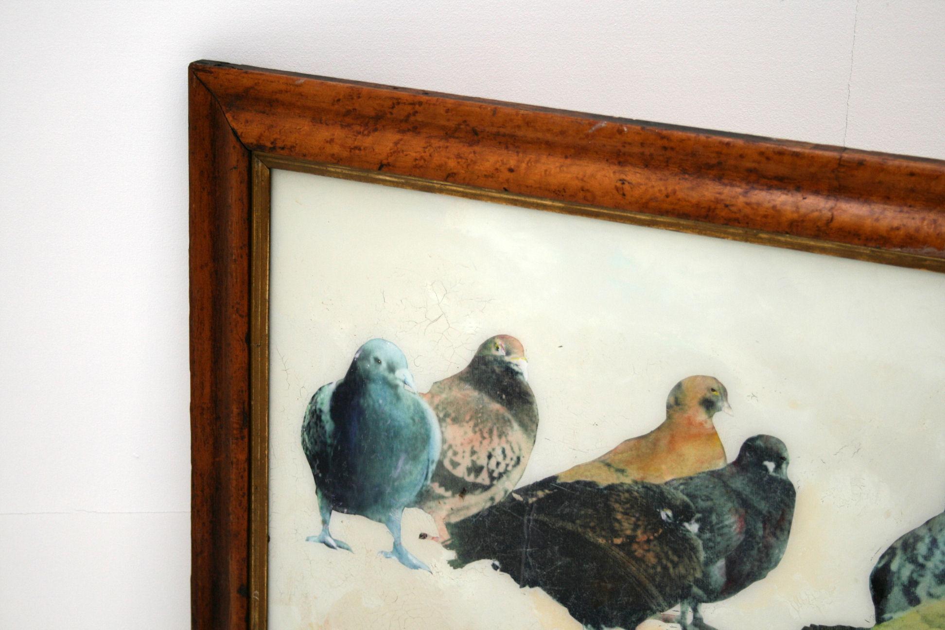 Pigeons 21 by Huw Griffith For Sale at 1stDibs