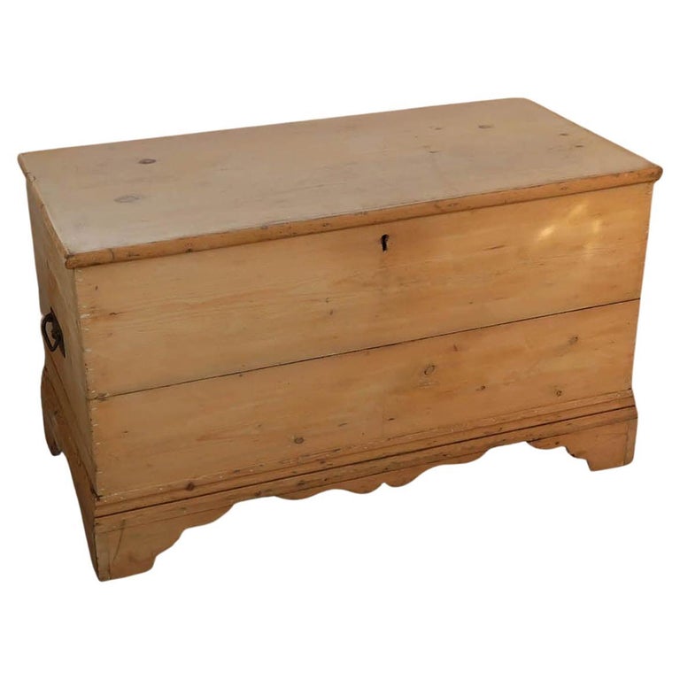Pine Blanket Chest, English, 19th Century For Sale at 1stDibs