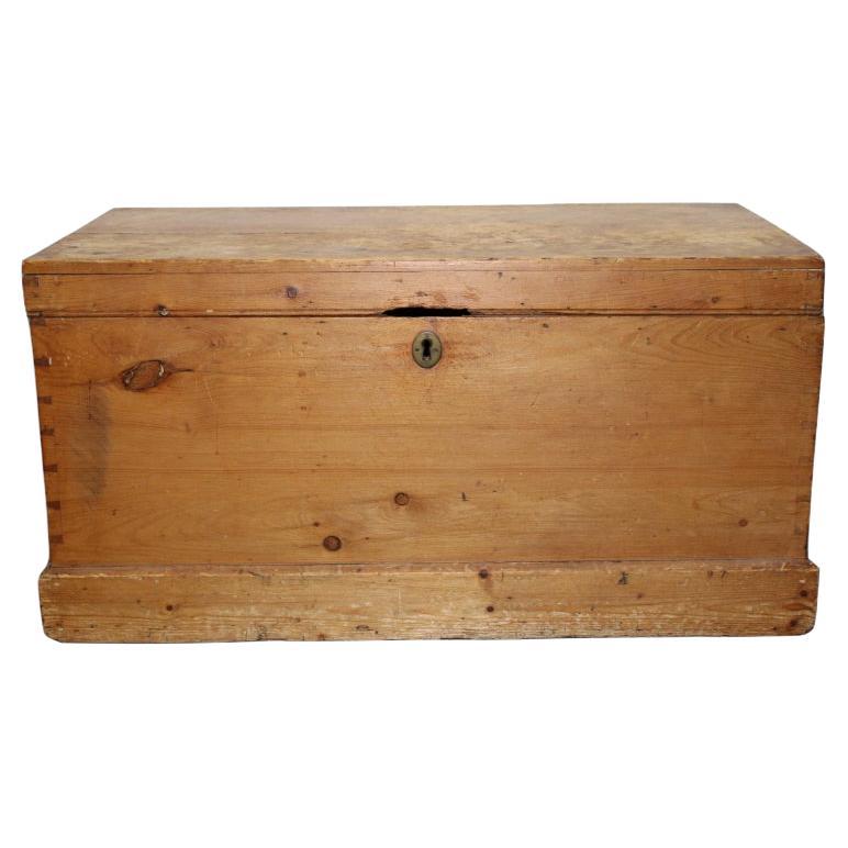 Midcentury Large Trunk for Furs Shelter in Solid Wood of Pine Polished ...
