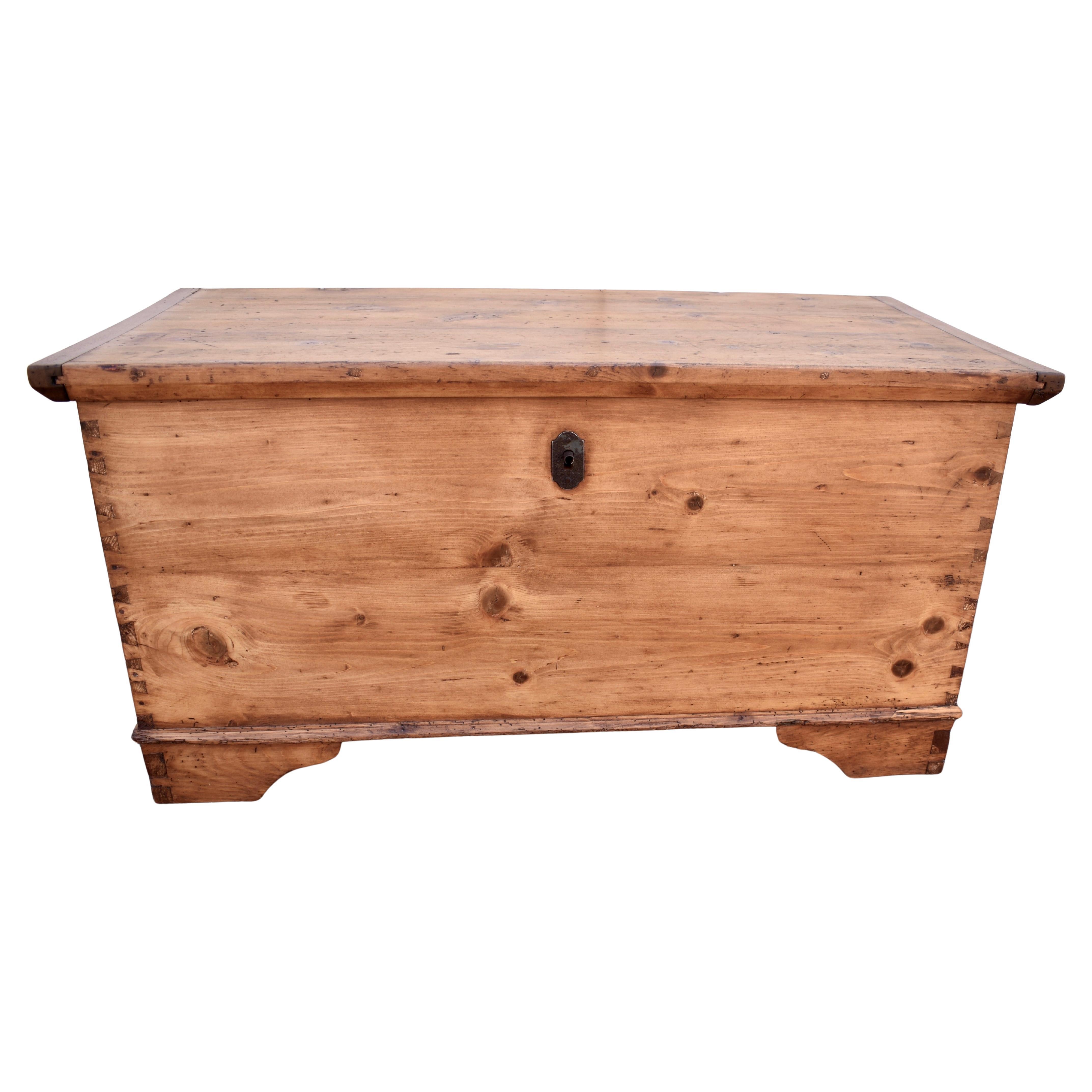 Pine Trunk or Mule Chest For Sale at 1stDibs