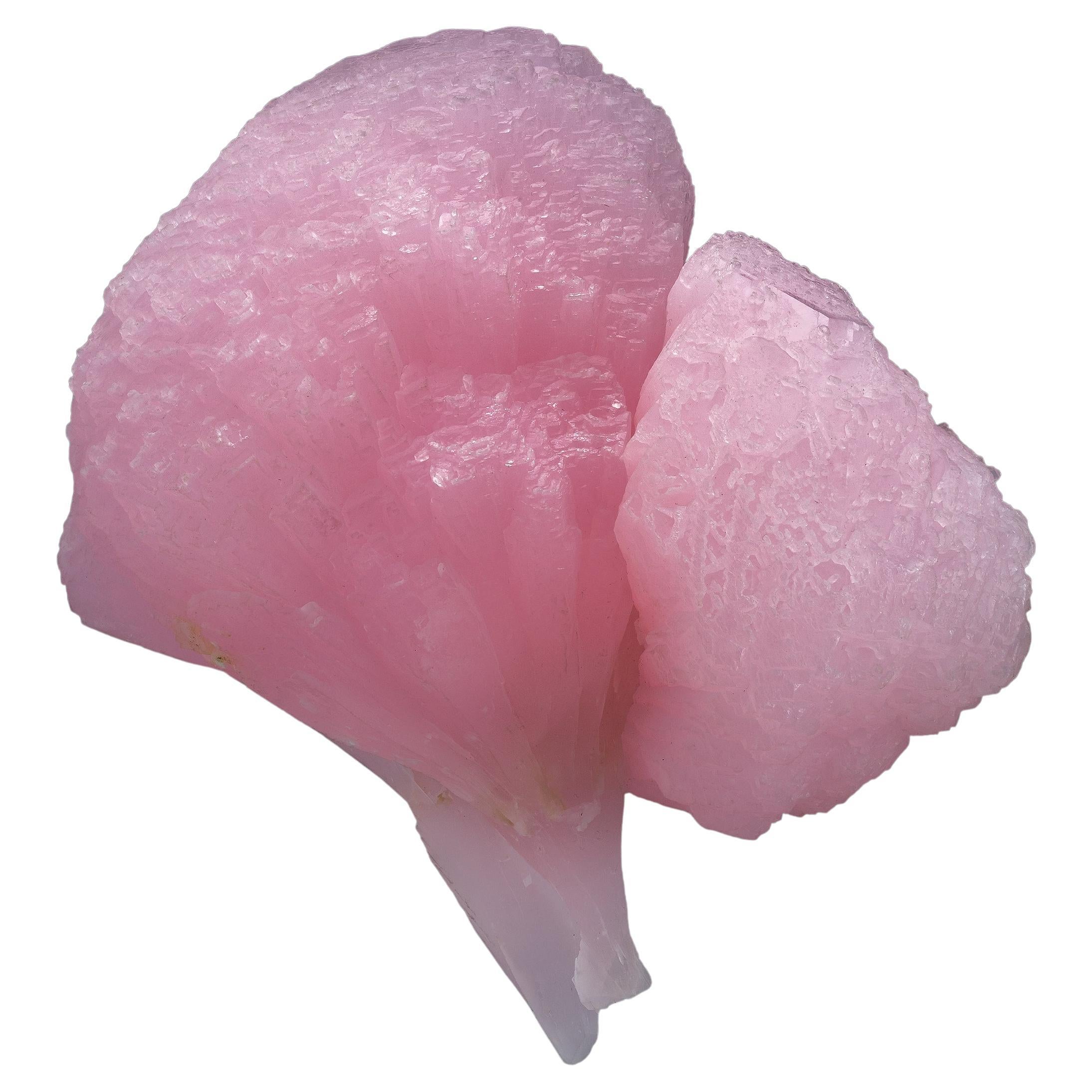 "The Bonsai Tree" Calcite Helictites, Li Gian Mine, Wenshan, Yunnan ...