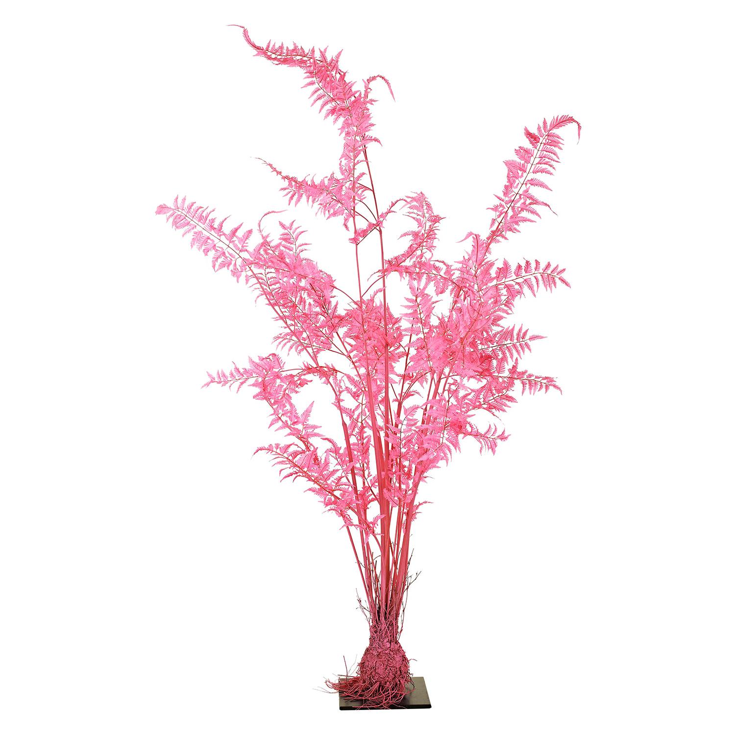 Pink Synthetic Fern Decoration at 1stDibs