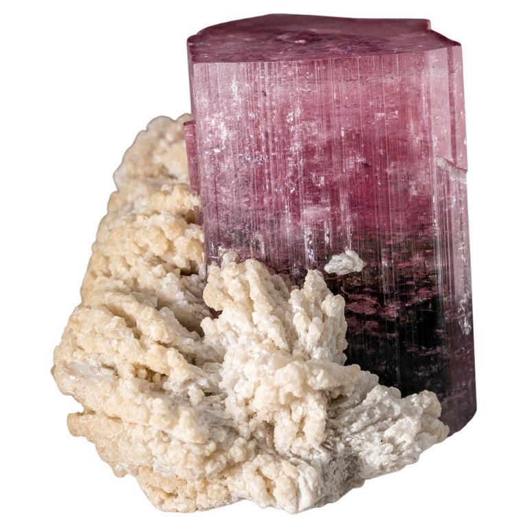 Pink Tourmaline on Albite from Paprok, Nuristan Province, Afghanistan ...
