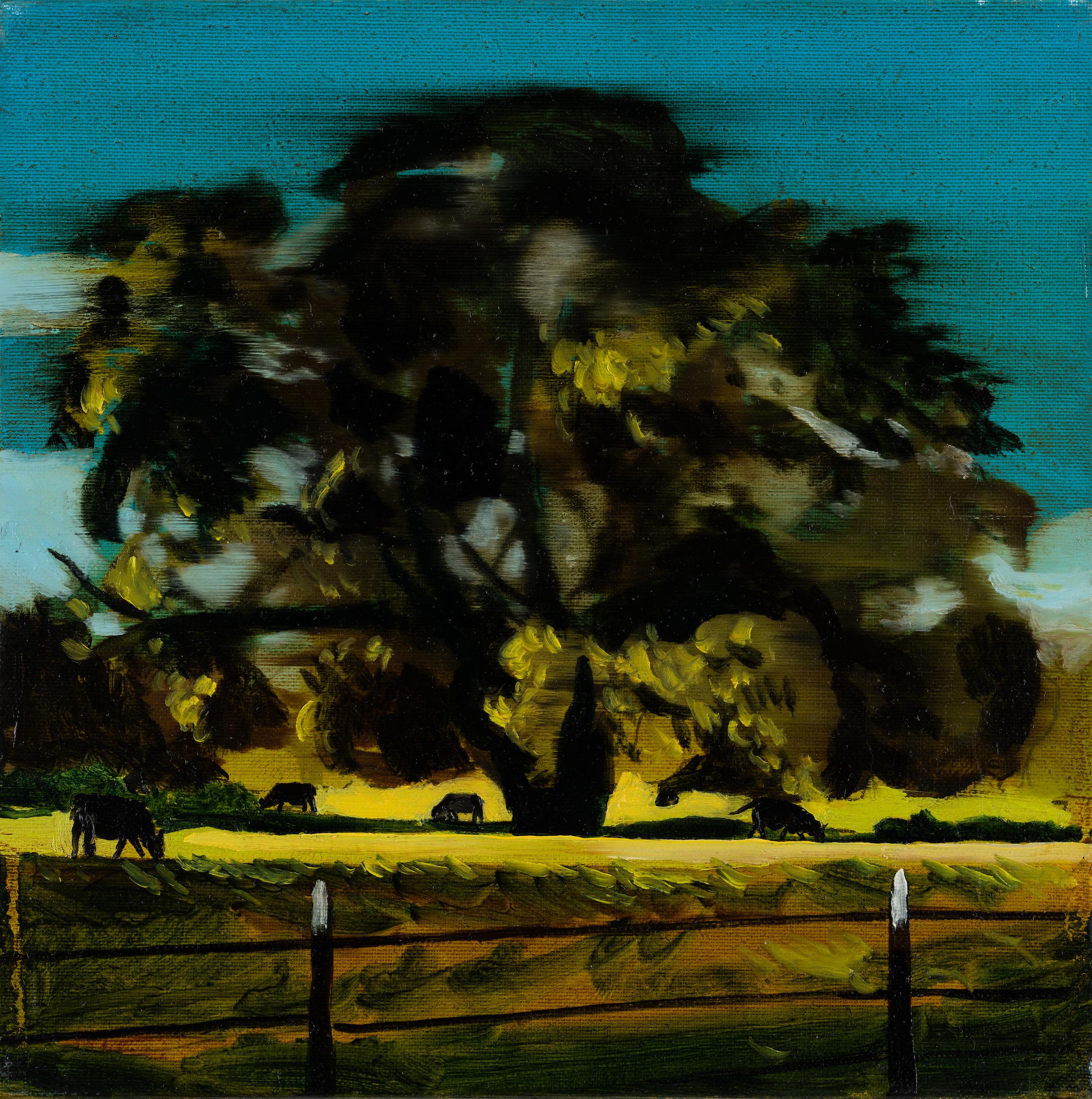 Piotr Szczur - HOLES IN THE CLOUDS - Expressive, Colourful USA ...