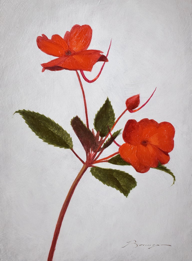 Piper Bangs - Orange New Guinea Impatiens II For Sale at 1stDibs