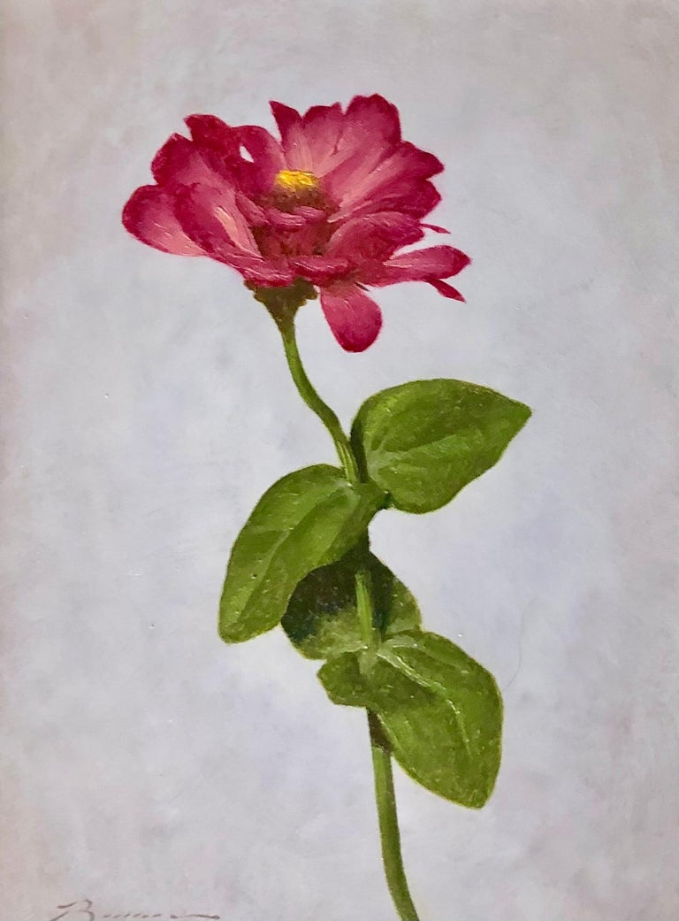 Piper Bangs – „Rosa Zinnie“ im Angebot bei 1stDibs