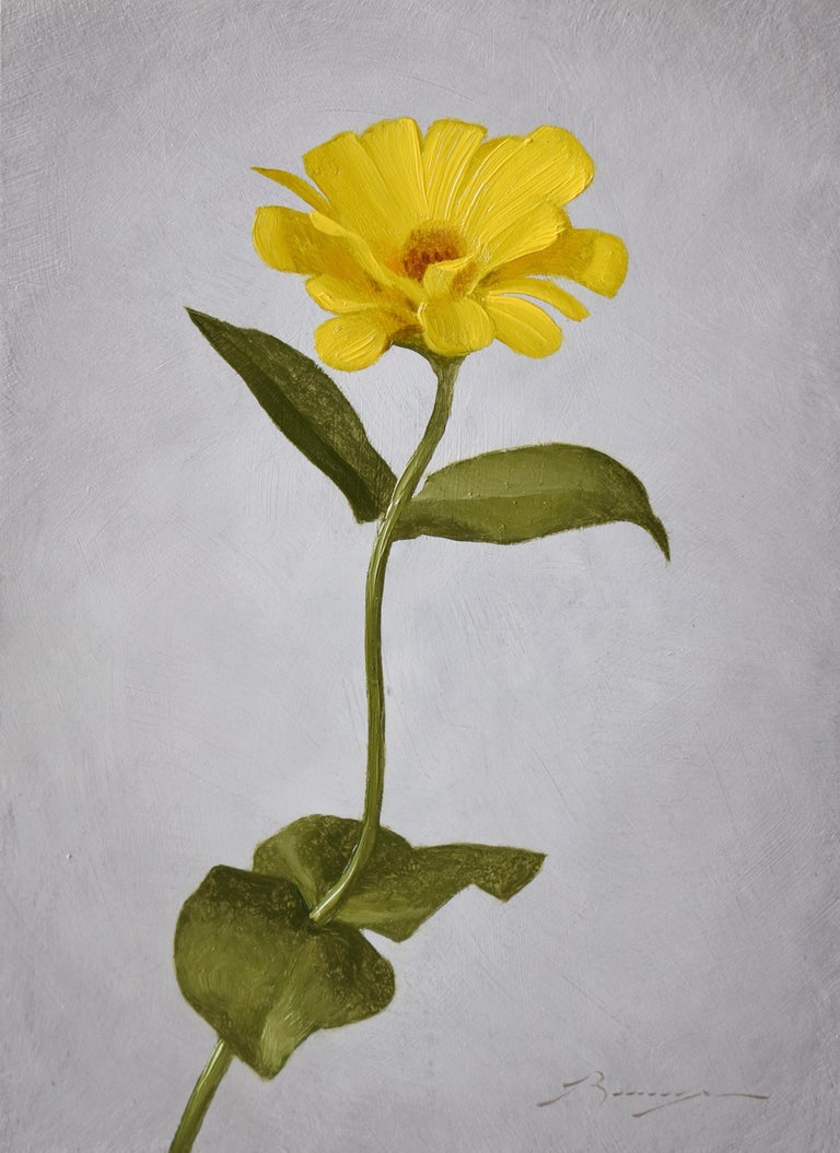 Piper Bangs - Yellow Zinnia II For Sale at 1stDibs