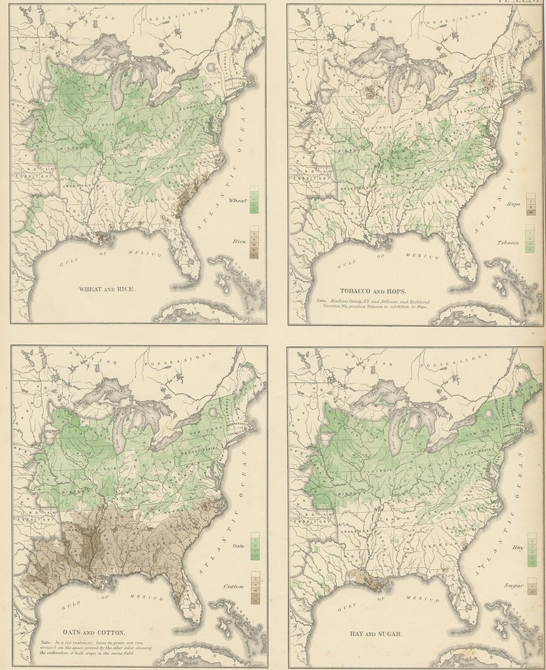 Pl. 36 Antique Chart of US Crops, Wheat, Rice, Tobacco, Hops, Oats ...