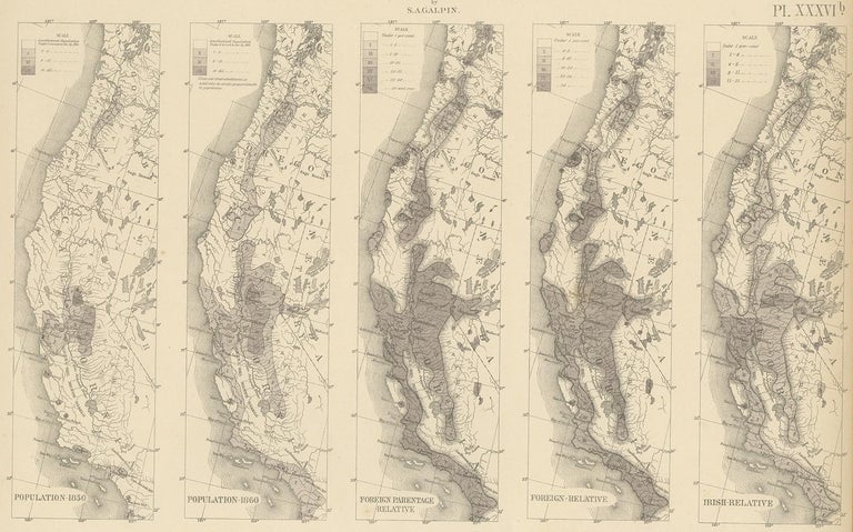 Pl. 36B Antique Chart of the Pacific Coast '1874' For Sale at 1stDibs