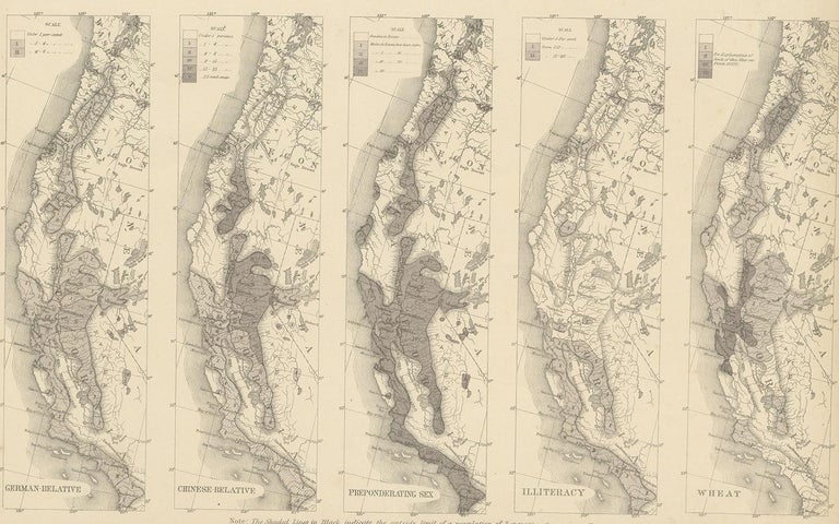 Pl. 36B Antique Chart of the Pacific Coast '1874' For Sale at 1stDibs