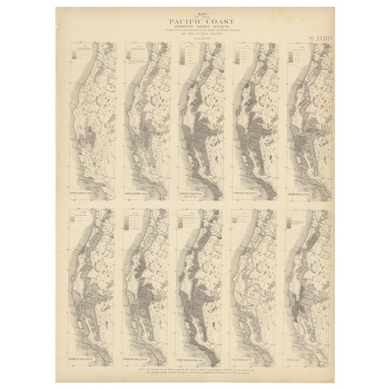 Pl. 36B Antique Chart of the Pacific Coast '1874' For Sale at 1stDibs