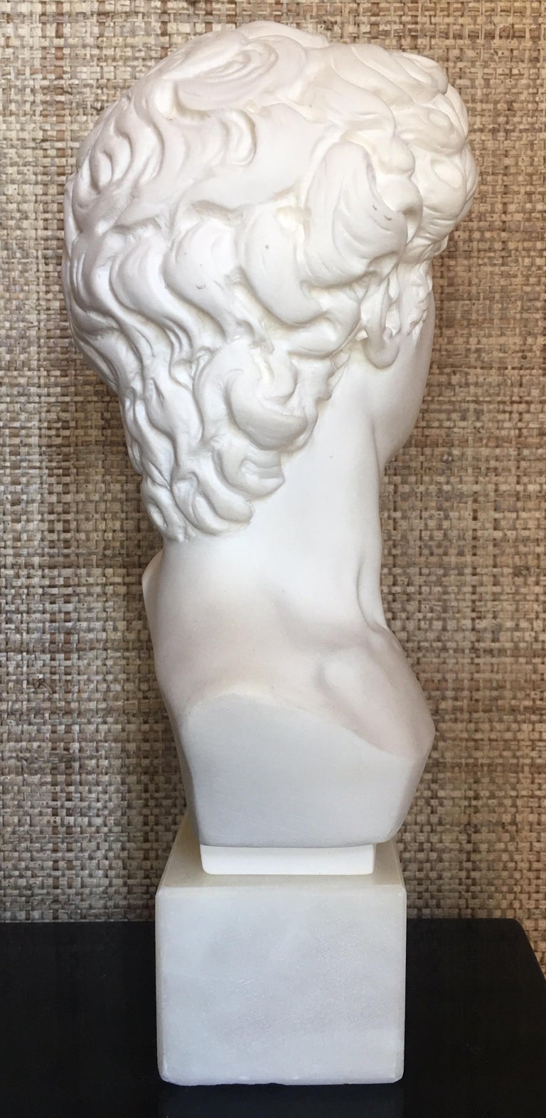 Plaster and Alabaster Marble Bust Sculpture by Giuseppe Bessi, Italy at ...