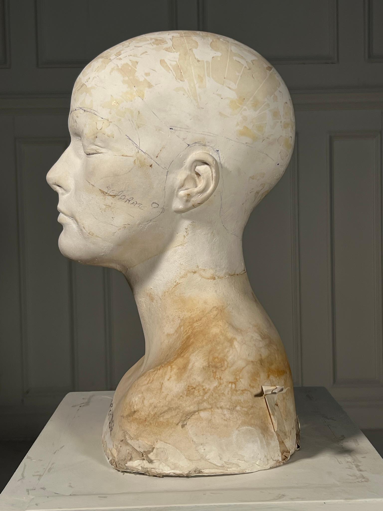 Plaster Bust by Christopher Tucker - Kate Hodge For Sale at 1stDibs
