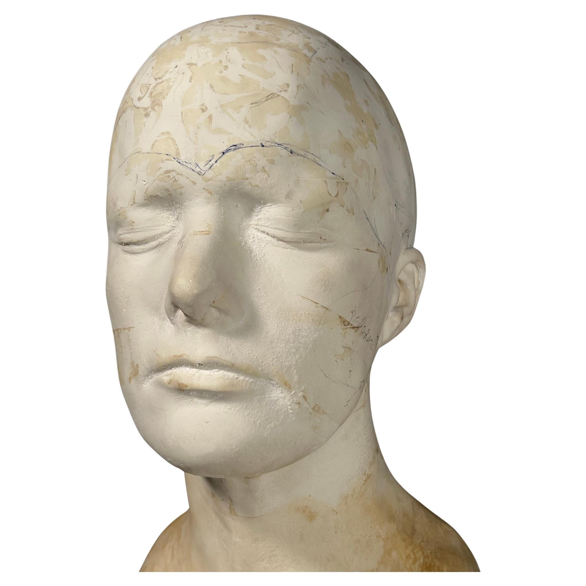 Plaster Cast Bust of a Male Ex. Tucker Collection For Sale at 1stDibs